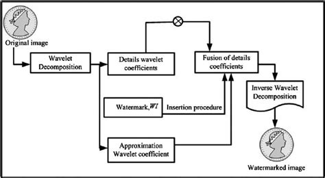 The Embedded Algorithm In Wavelet Domain Download Scientific Diagram