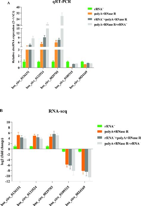 Qpcr Validation Of Diverse Circrna Enrichment Methods A Qpcr Download Scientific Diagram