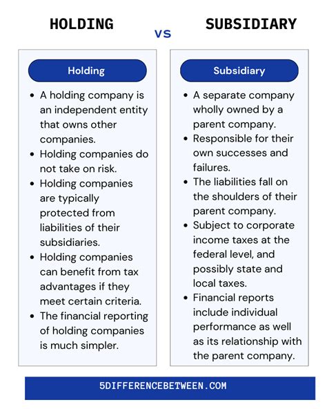 5 Difference Between Holding And Subsidiary Company Holding Vs Subsidiary