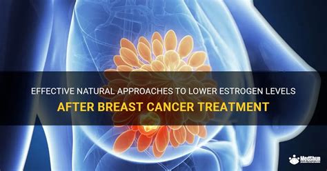 Effective Natural Approaches To Lower Estrogen Levels After Breast