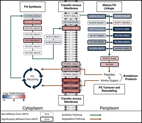 Analysis Tools With Shiny App 1 Consortium For Applied Microbial