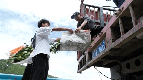 德江：劳动课程入基地 实践育人促发展花椒铜仁乌江