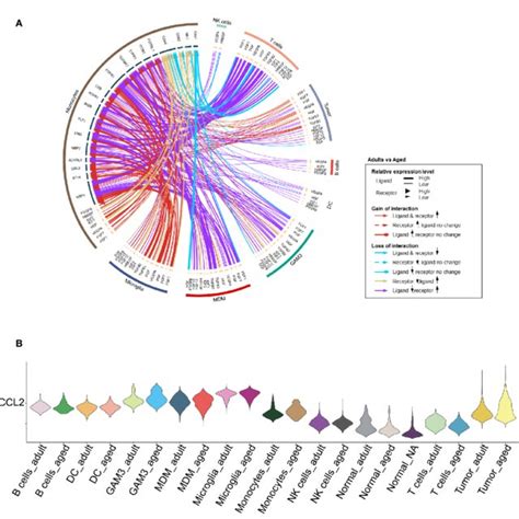 Increased Proliferation And Recruitment Of Monocytes A Circos Plot
