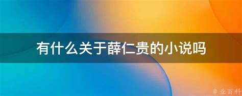 有什么关于薛仁贵的小说吗 业百科