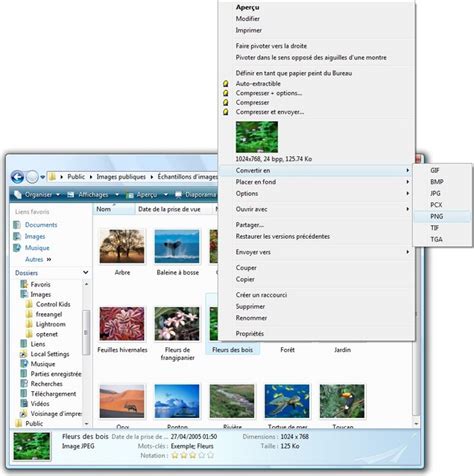 Xnview Trier Et Classer Les Photos