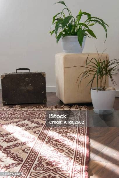 유행 밝게 오래 된 빈티지 가방 거실의 부분 및 화분에 심는 식물 전통 수 제 카펫 고급 나무 바닥에 흰색 밝은 창문이 벽 인테리어 디자인 장식 거실에 대한 스톡 사진 및