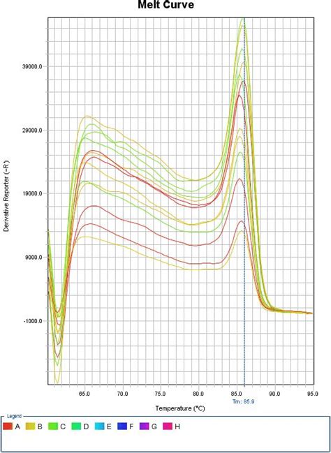What Could Be The Reason For Different Melting Curve Patterns Between Samples ResearchGate
