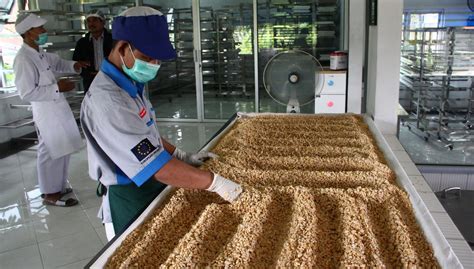 Soybean Processing Scope › Grants Programme Switch Asia