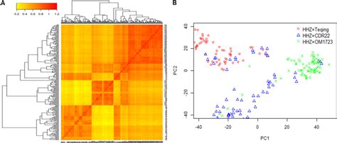 Population Structure Analysis A Heat Map Of Kinship Matrix With The