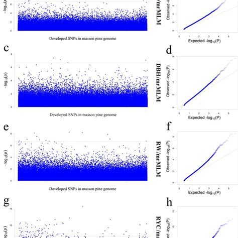 The Manhattan Plots And Q Q Plots Of Traits Ht Dbh Rw And Vw Using