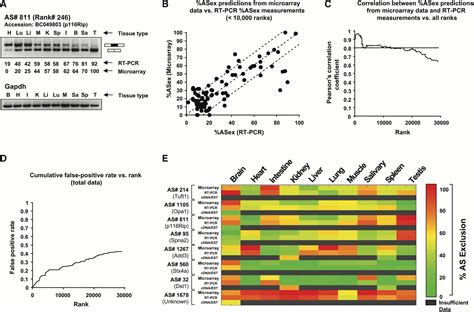revealing global regulatory features of mammalian alternative splicing
