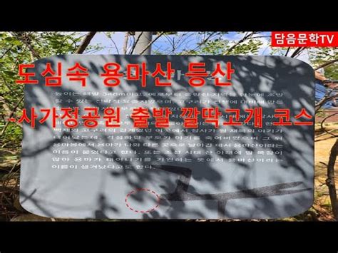 도심속 용마산 등산 사가정공원 출발 깔딱고개 코스 YouTube
