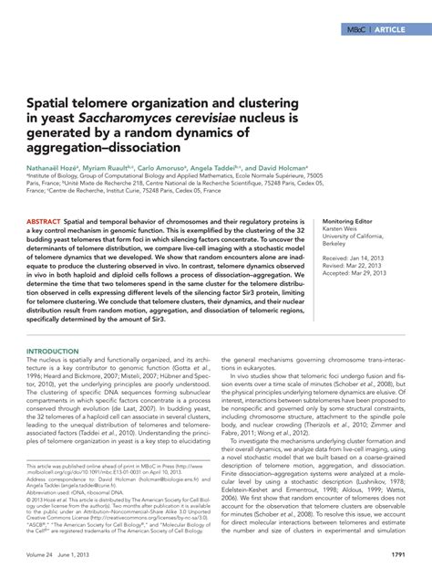 Pdf Spatial Telomere Organization And Clustering In Yeast S Cerevisiae Nucleus Is Generated