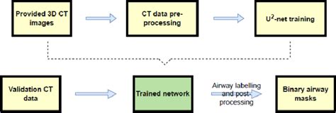 A Ct Based Airway Segmentation Using U2 Net Trained By The Dice Loss
