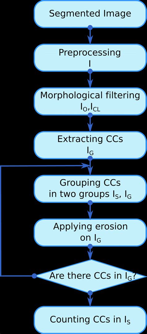Flow Chart Of The Implemented Agave Counting Algorithm Based On