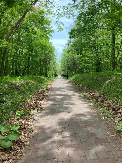 Langchainneo4j で「graphrag」を実装してみる