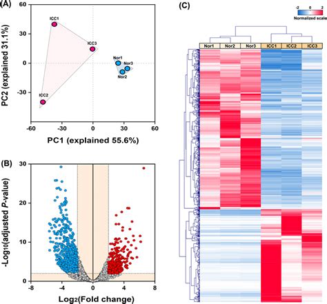 Analysis Of The Mrna Expression Pattern In Icc Tissues A Pca