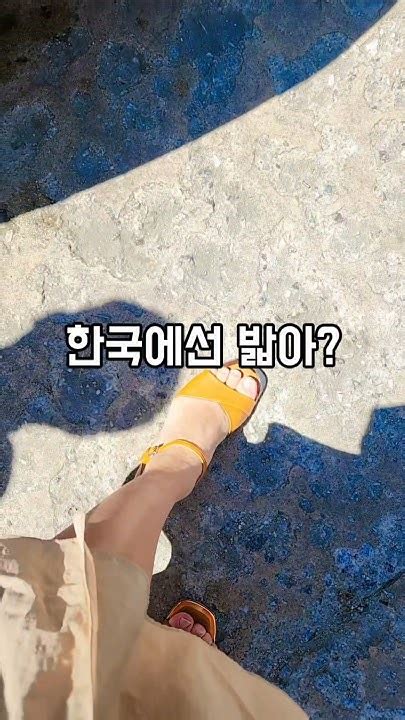 💥새신을 밟는다구 왜죠😂🤣 미국에선 어떻게💥💯 미국은 칭찬하는 문화😉아래와 같이 칭찬해보세요 Youtube