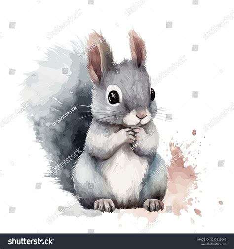 763 Cute Gray Squirrel Drawing Royalty Free Photos And Stock Images Shutterstock