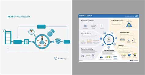 Comparing Nexus And Safe Similarities Differences Ideas Agilesparks