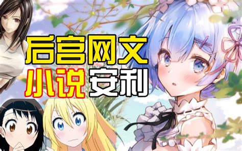 五本后宫多女主小说安利——重铸多女主荣光，吾辈义不容辞！！！ 网文比趣鸽 网文比趣鸽 哔哩哔哩视频