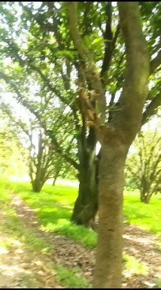 sunny prakash sunny5151prakash instagram photos and videos