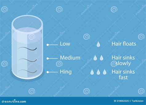 3d Isometric Flat Vector Illustration Of Hair Porosity Test