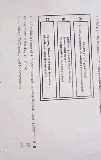 113 Differentiate Between The Processes StudyX