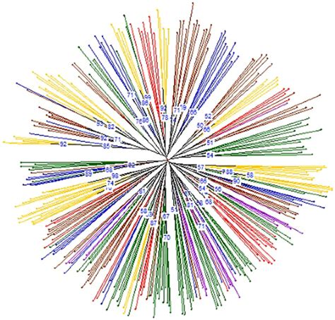 Unrooted Neighbour Joining Tree Realized From The Dissimilarity Matrix