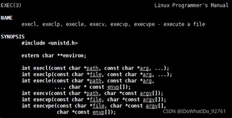 【c】exec错误：a Null Argv 0 Was Passed Through An Exec System Call Csdn博客
