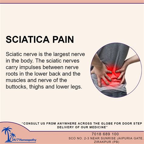 Sciatica Pain Homeopathic Medicine And Treatment In Zirakpur