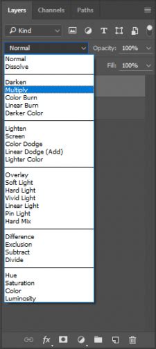 91 Exercise 1 Using Layers To Create A Double Exposure Digital Foundations Introduction To