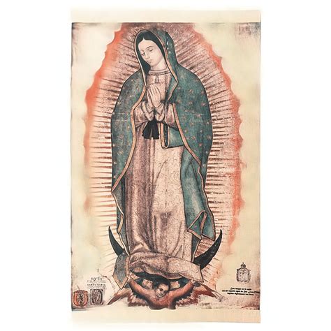 Juan Diego Tilma Guadalupe Ts