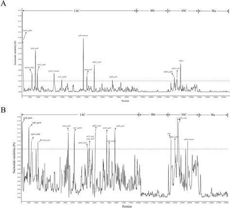 Nucleotide Variability Pi Values Of 15 Umlus Species And 23 Ulmaceae Download Scientific