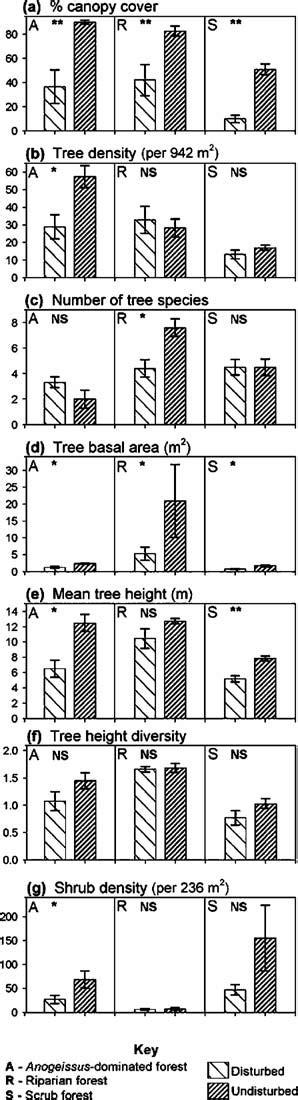 Plots Of A Canopy Cover B Tree Density C Number Of Tree Download Scientific Diagram