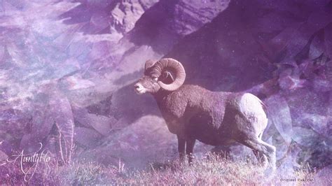 Ram Spiritual Meaning And Interpretation Auntyflo Com