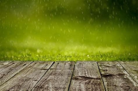 View To Rain From Wooden Veranda Free Stock Photo Public Domain Pictures