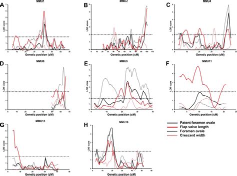 Figures And Data In Quantitative Trait And Transcriptome Analysis Of Genetic Complexity