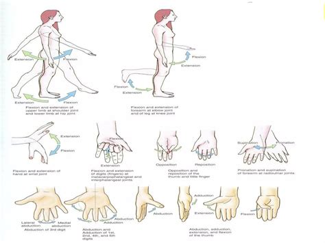 Upper Limb Breast Pptx
