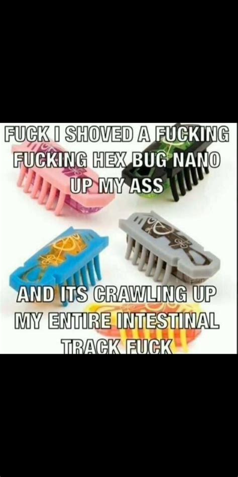 Hex Bug Sex Plug Rokbuddyretard