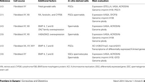 Differentiation Of Human Ipscs Into Male Germ Cell Lineage
