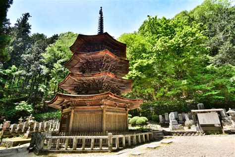 安樂寺
