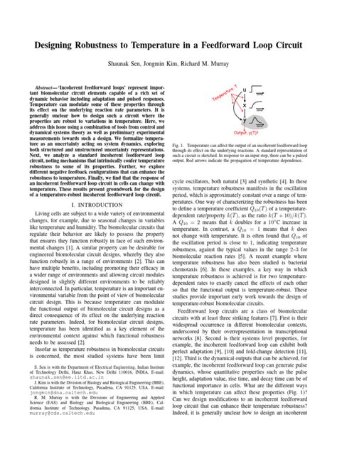 Feedforward Loop Pdf