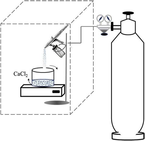 Schematic Representation Of The Encapsulation Device Download