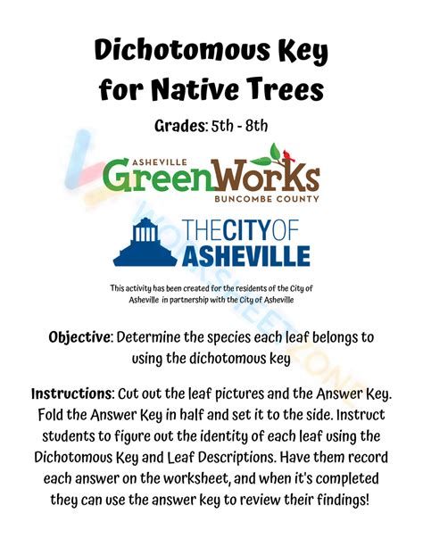 Dichotomous Key For Native Trees Worksheet
