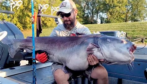 Catfish Capital Savannah Tennessee