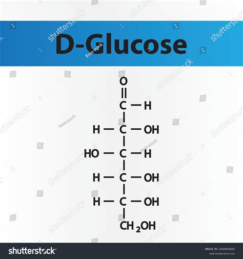 Straight Chain Form Chemical Structure D Glucose Stock Vector Royalty Free 2284694665