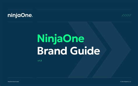 Ninja One Branding Style Guides