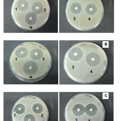 Tmp Molecular Structure Download Scientific Diagram
