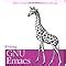 Writing GNU Emacs Extensions 9781565922617 Computer Science Books